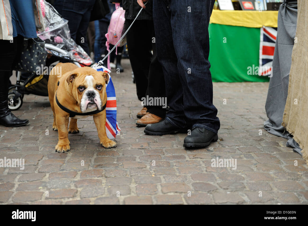 Bulldog union jack hi-res stock photography and images - Alamy