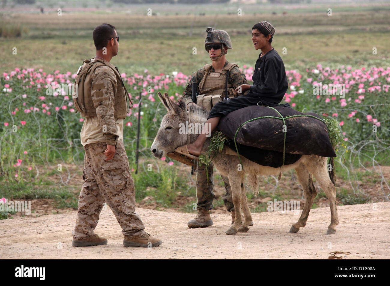 A US Navy Soldier and an Afghan interpreter talk to an Afghan boy on a ...
