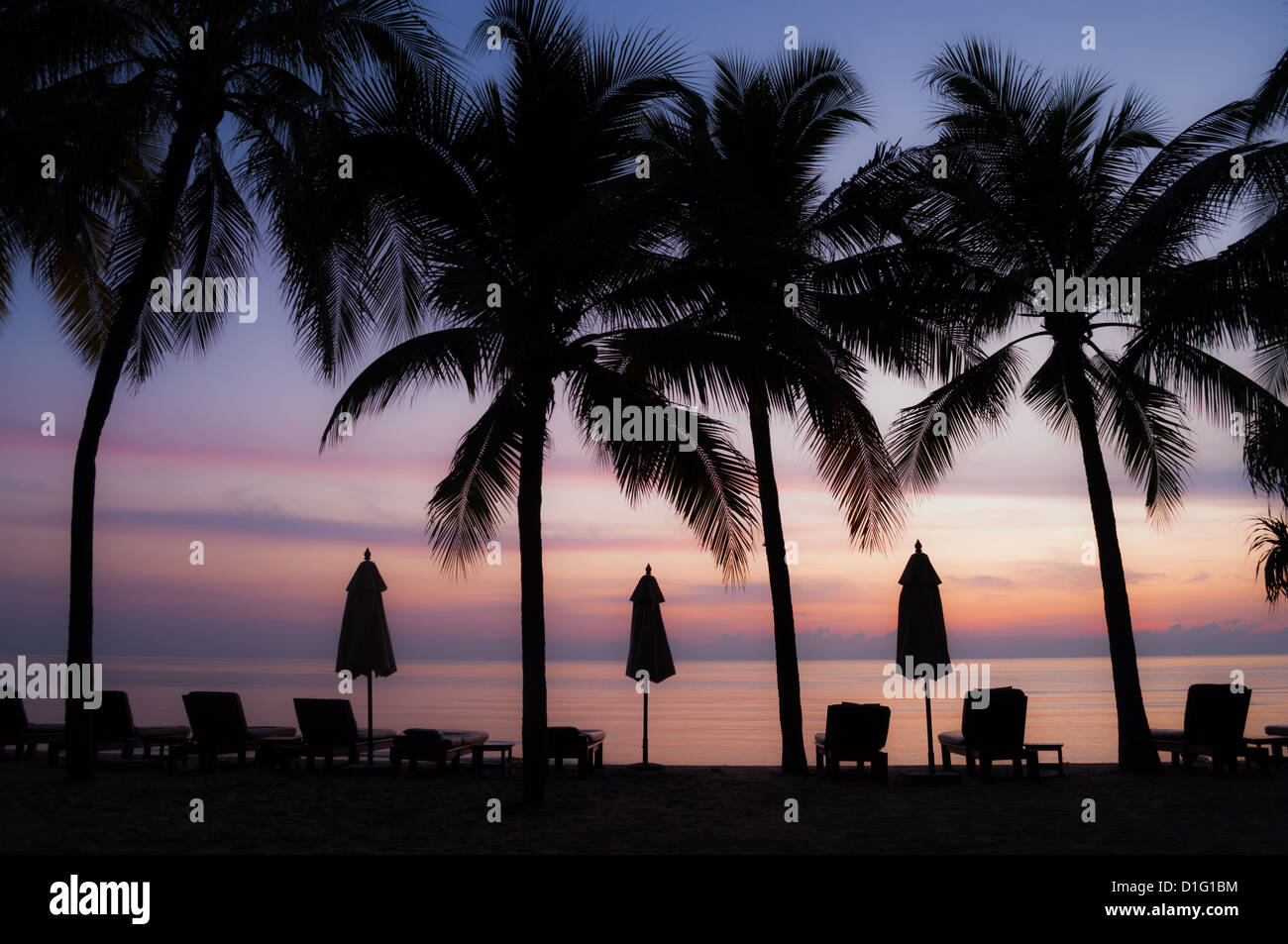 The beautiful sunset at a beach with coconut trees and beach bed Stock ...