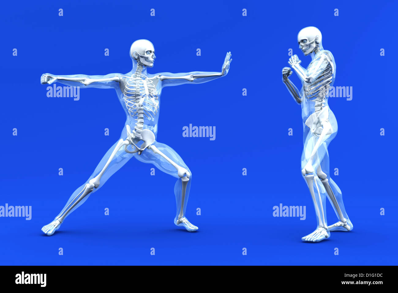 A medical visualization of human anatomy. 3D rendered Illustration ...