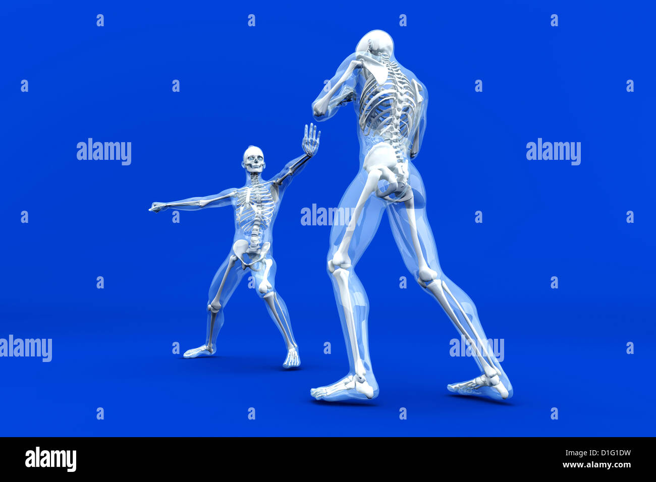 A medical visualization of human anatomy. 3D rendered Illustration ...