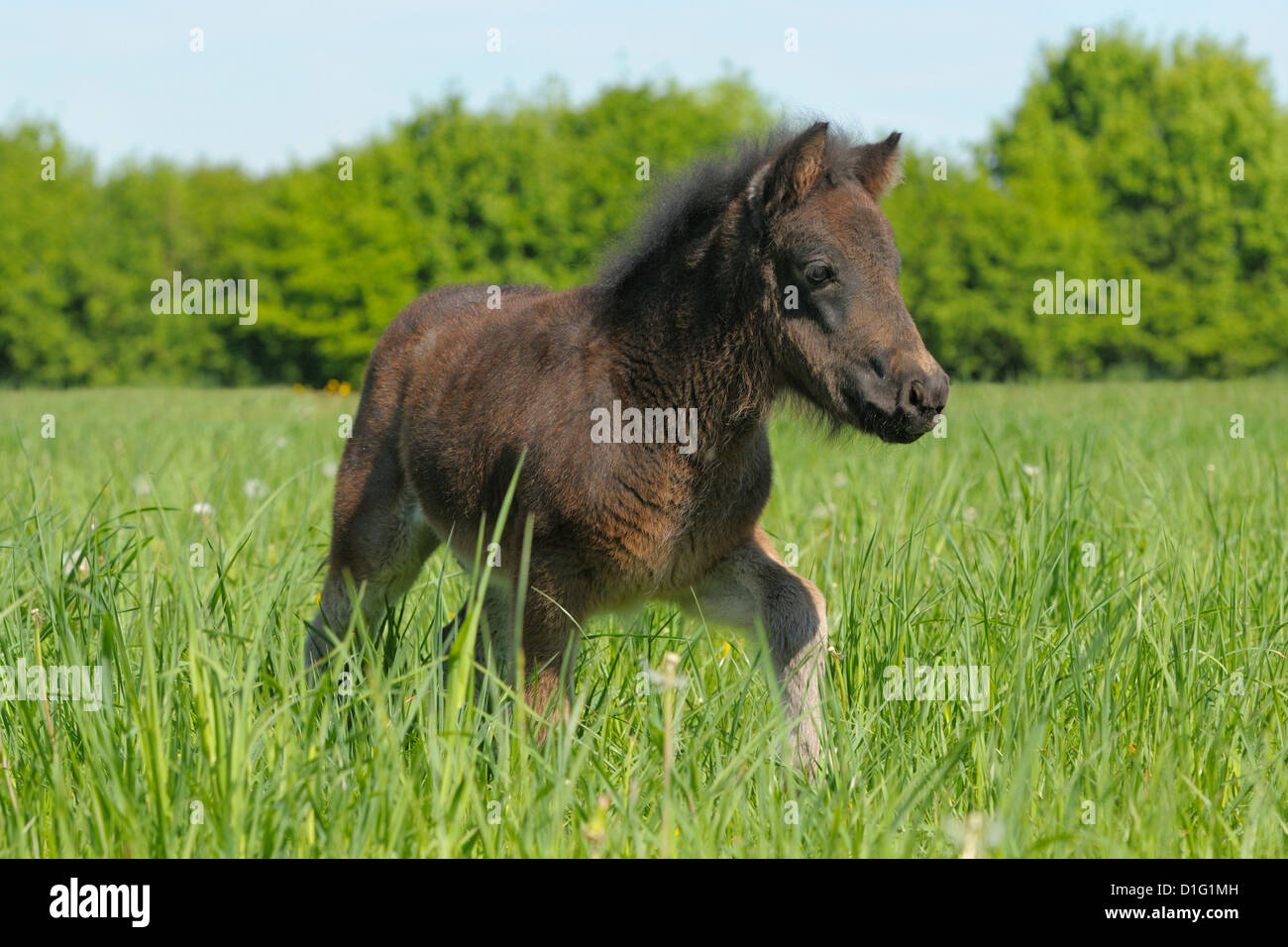 Coalt hi-res stock photography and images - Alamy
