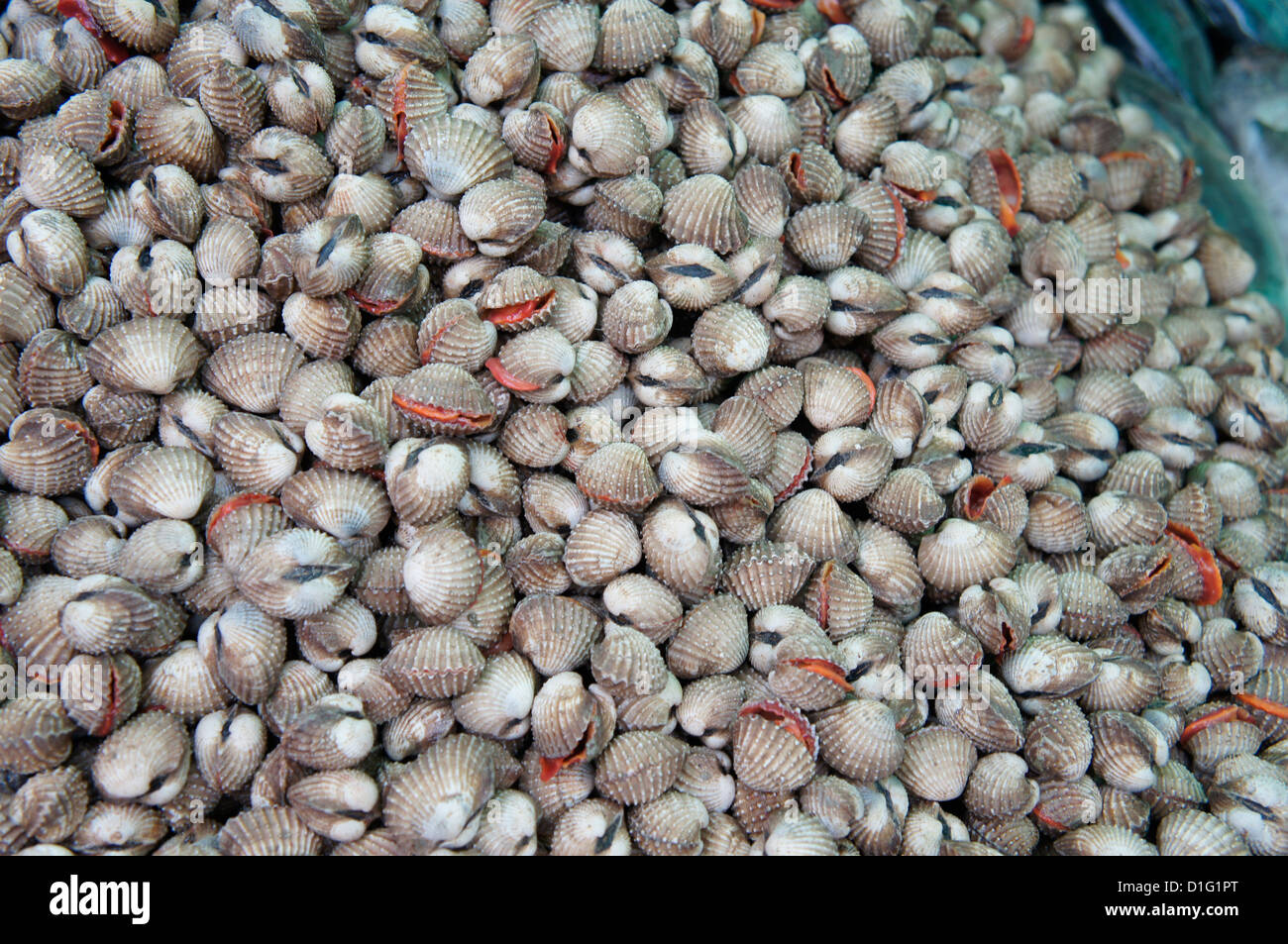 Cockles High Resolution Stock Photography and Images - Alamy