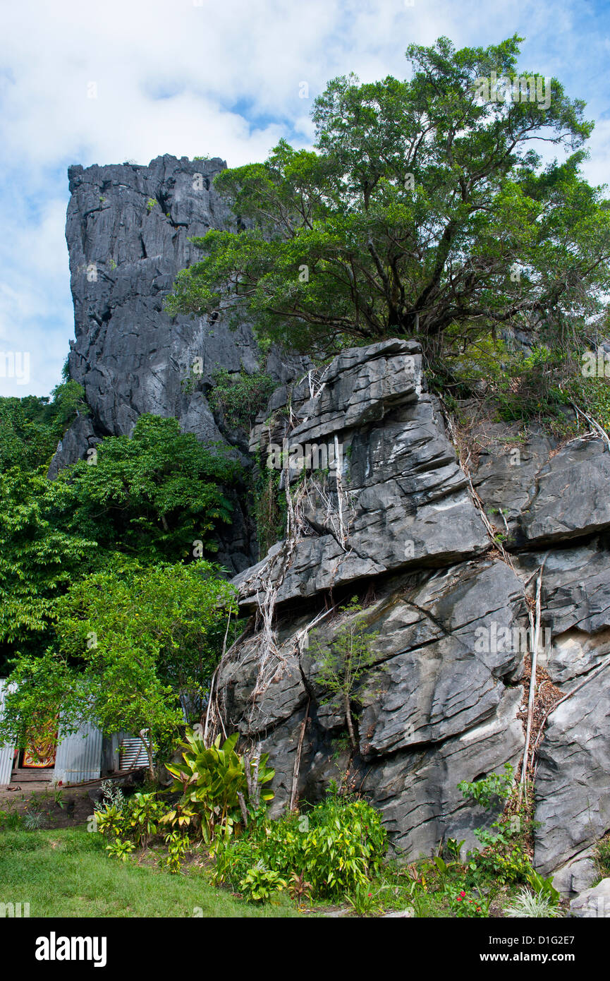 The Linderalique rocks in Hienghene at the east coast of Grande Terre ...