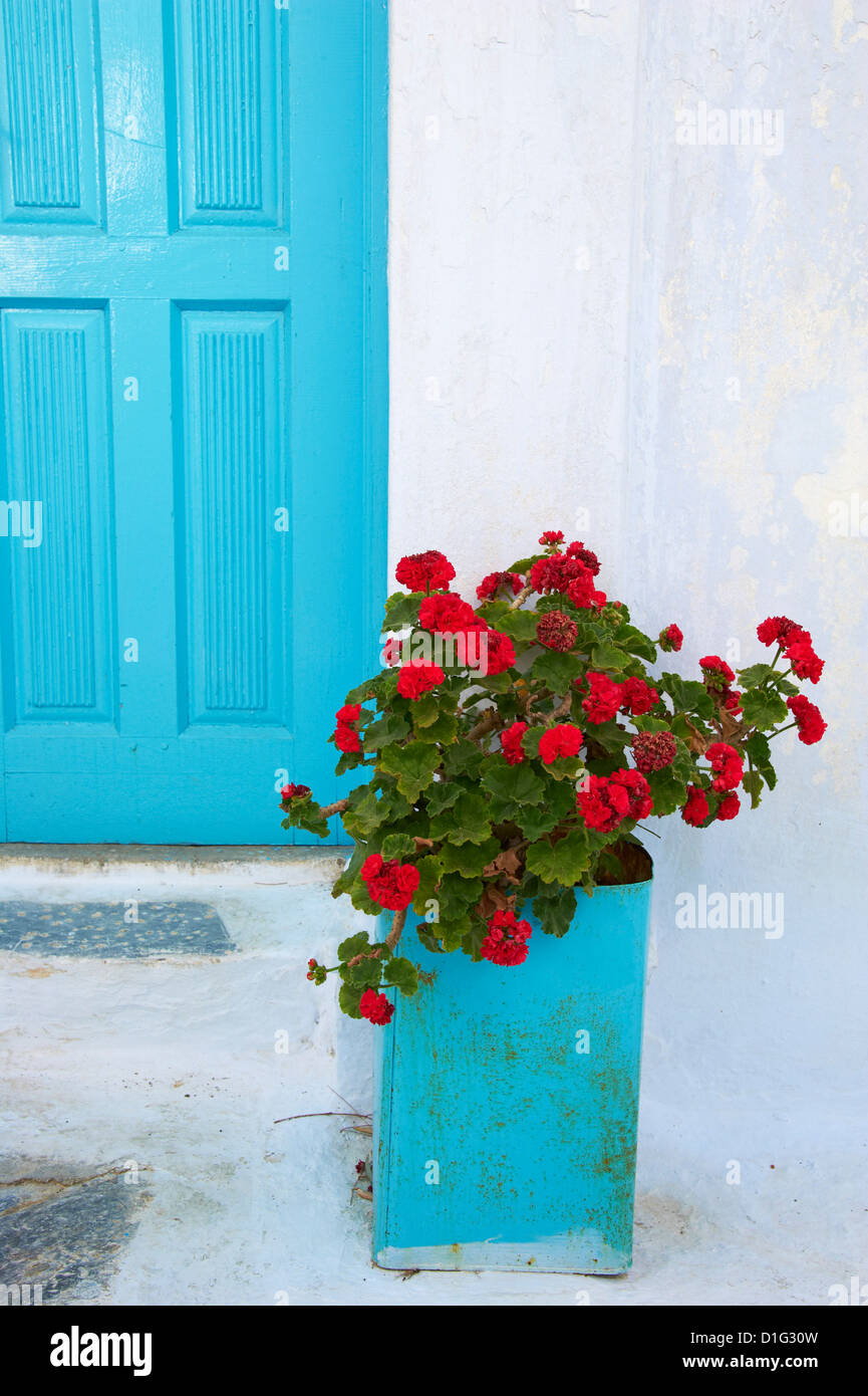 Red geraniums hi-res stock photography and images - Alamy