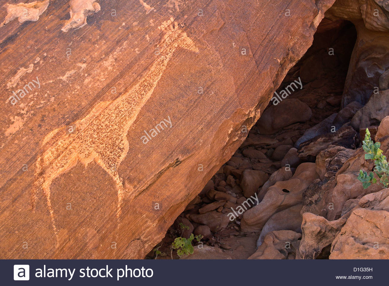 Petroglyph Africa Stock Photos & Petroglyph Africa Stock Images - Alamy