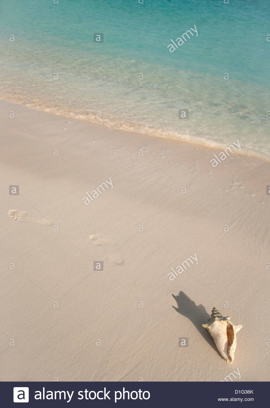 Conch Bay Stock Photos & Conch Bay Stock Images - Alamy
