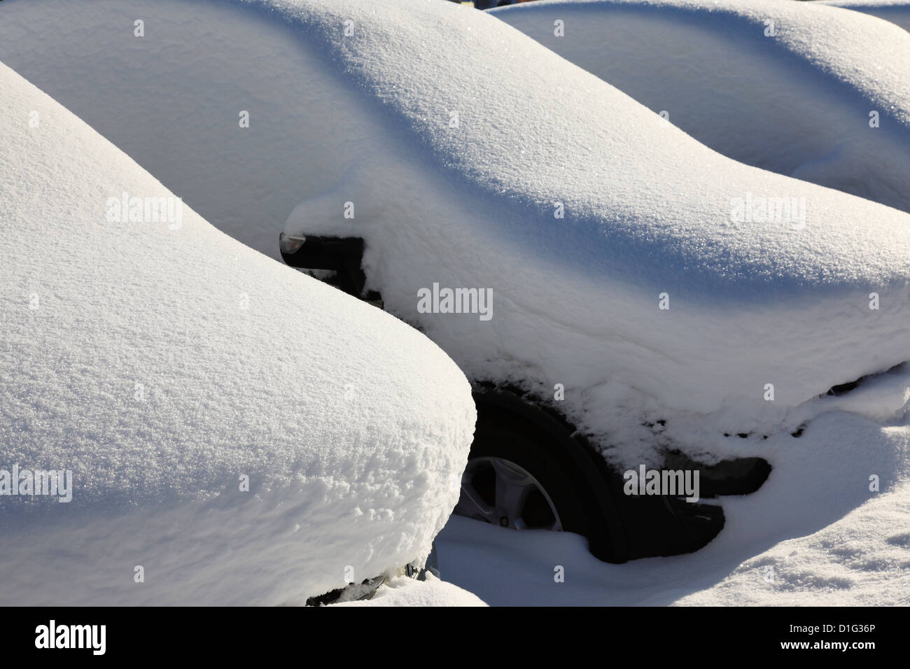 cars covered by heavy snow. Photo by Willy Matheisl Stock Photo - Alamy