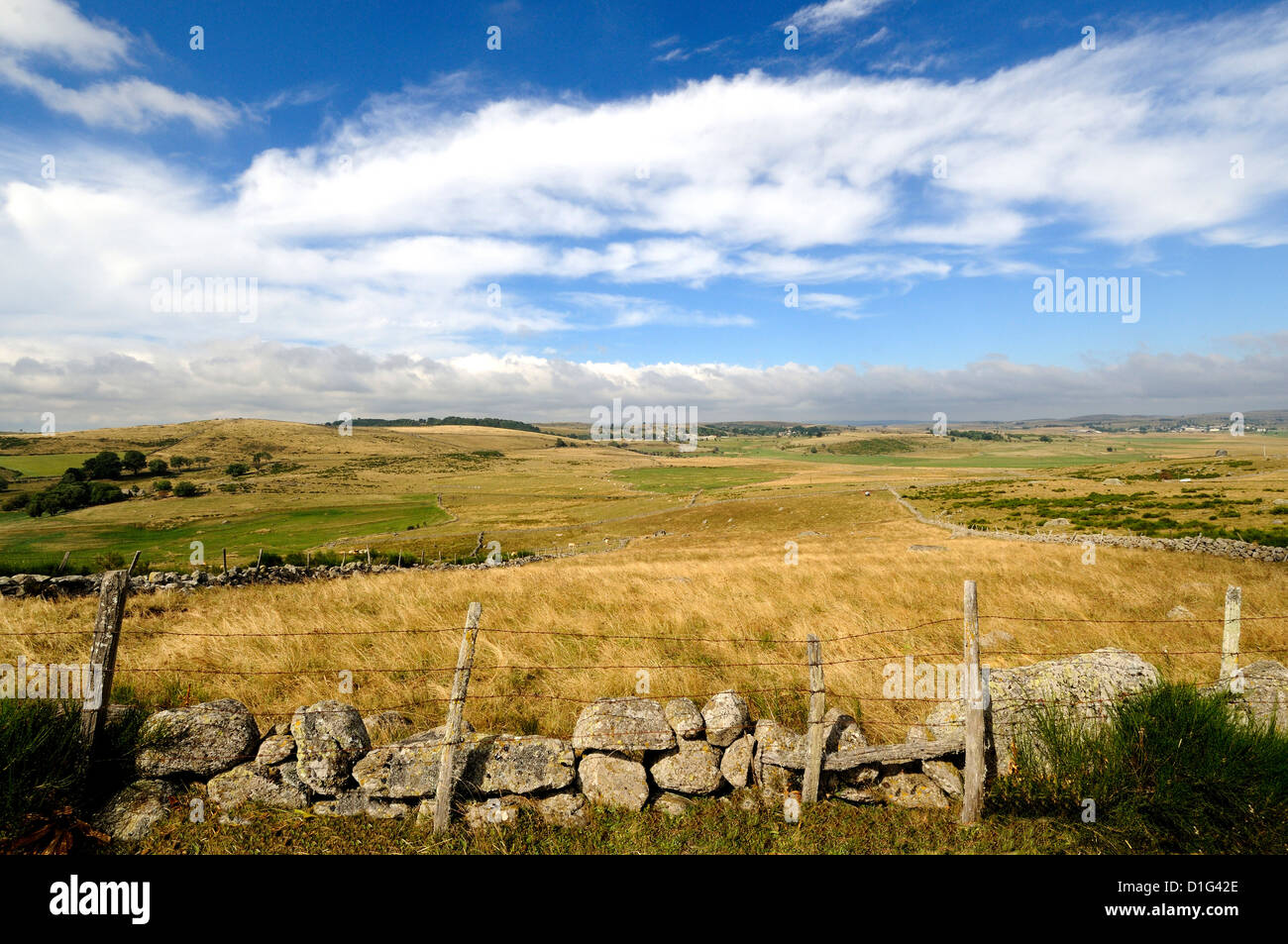 The Aubrac plateau, Aubrac, Lozere, France, Europe Stock Photo - Alamy
