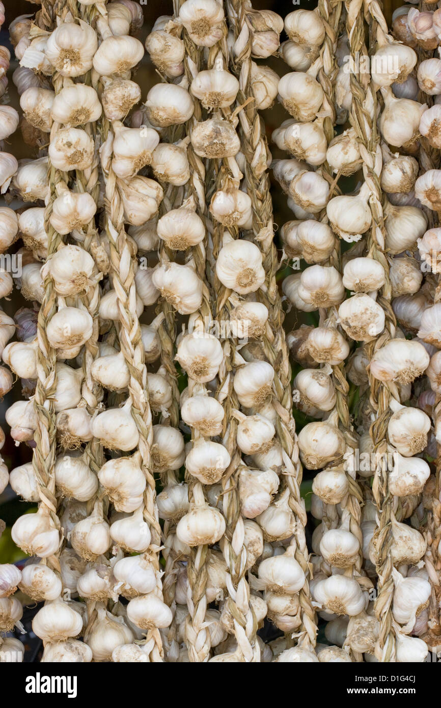 Mass of garlic cloves on market stall Stock Photo - Alamy