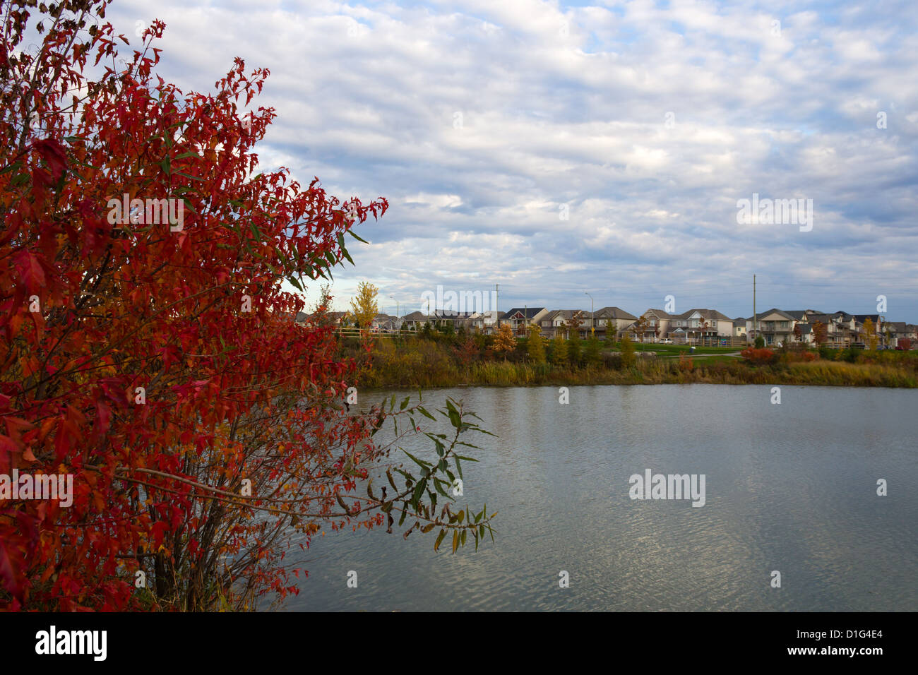 Suburb area hi-res stock photography and images - Alamy