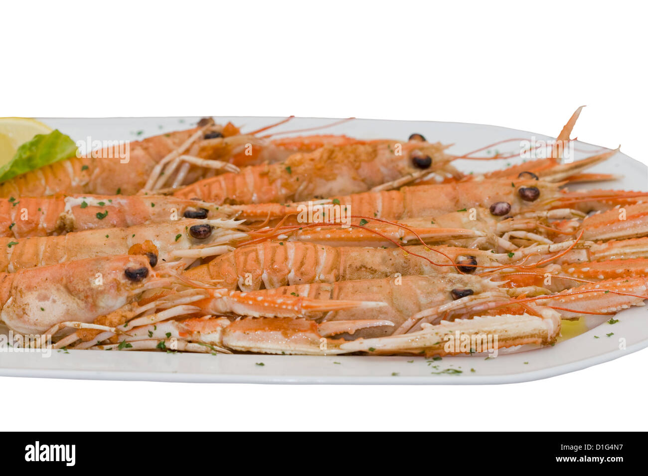 Langouste hi-res stock photography and images - Alamy