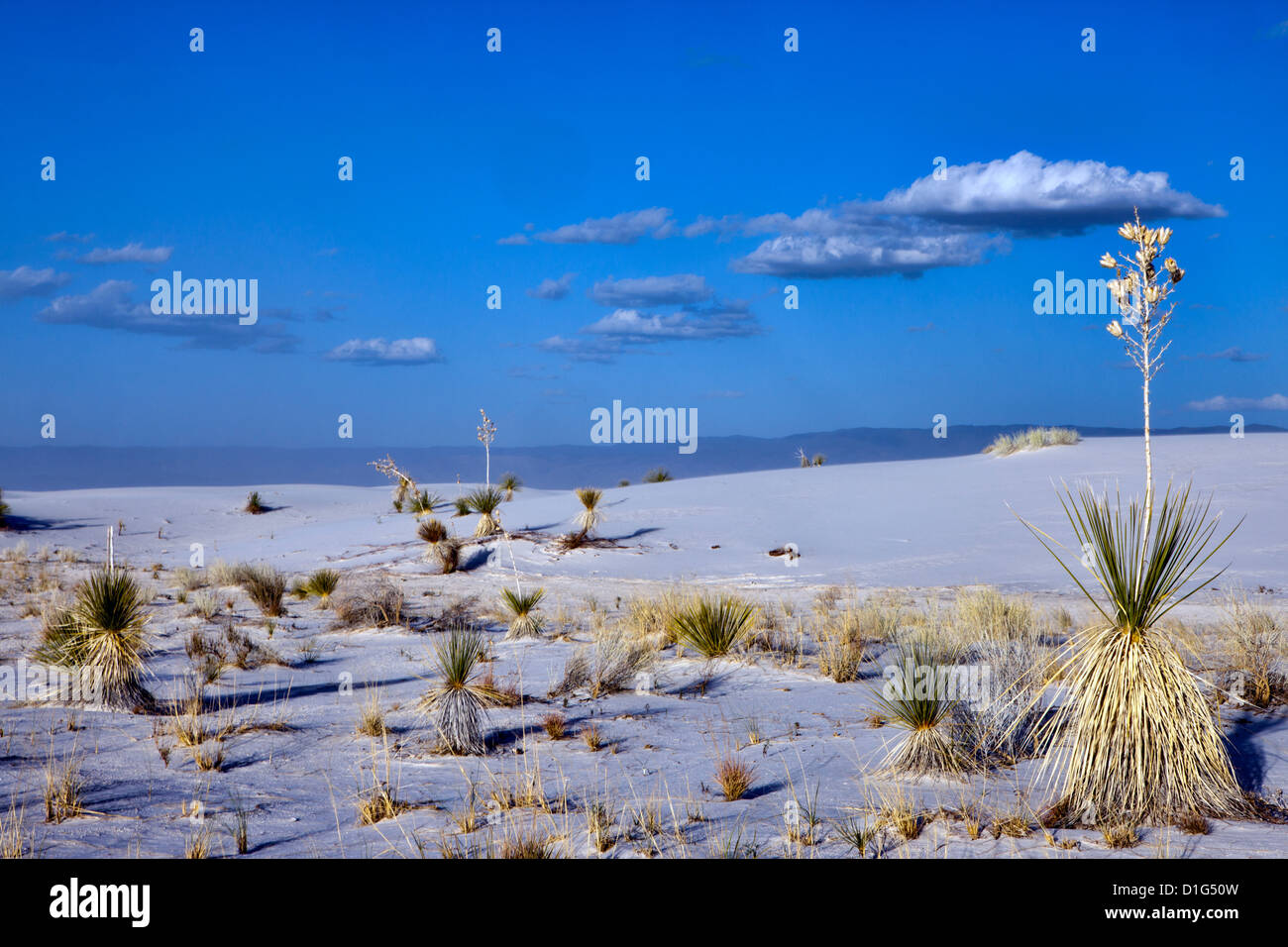 White Sands National Monument landscape Stock Photo - Alamy