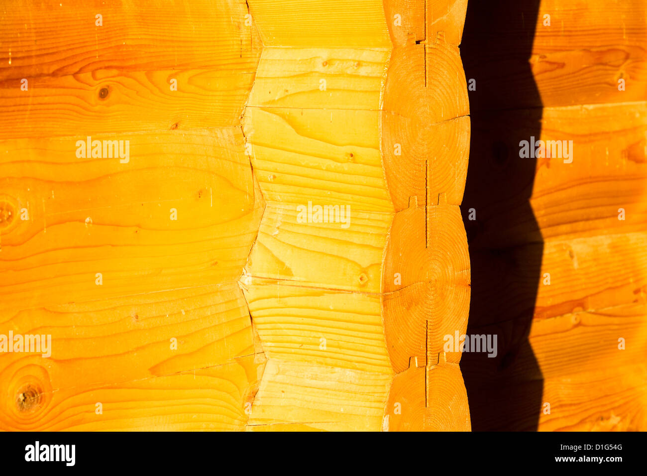 A timber built bird hide at Caelaverock on the Scottish side of the ...