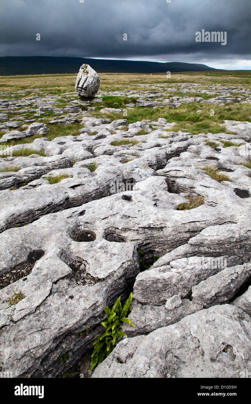 Limestone pavement standing stone hi-res stock photography and images ...