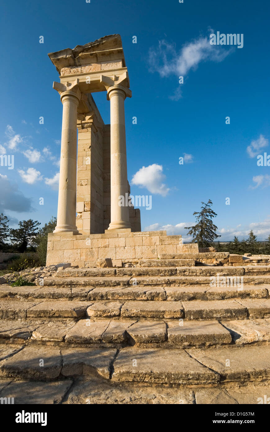 Ylatis hi-res stock photography and images - Alamy