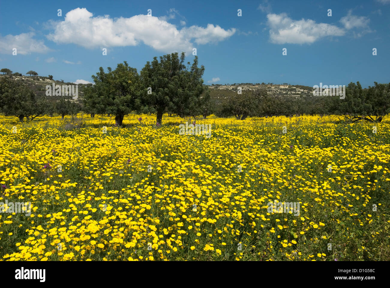 Cyprus Countryside High Resolution Stock Photography and Images - Alamy