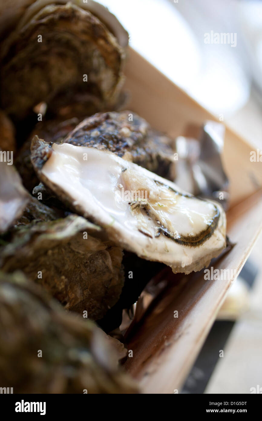 The oyster box hi-res stock photography and images - Alamy