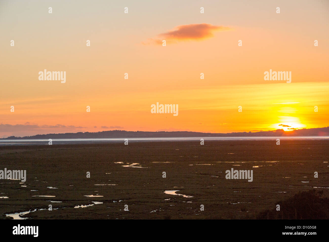 Frozen salt marsh hi-res stock photography and images - Alamy