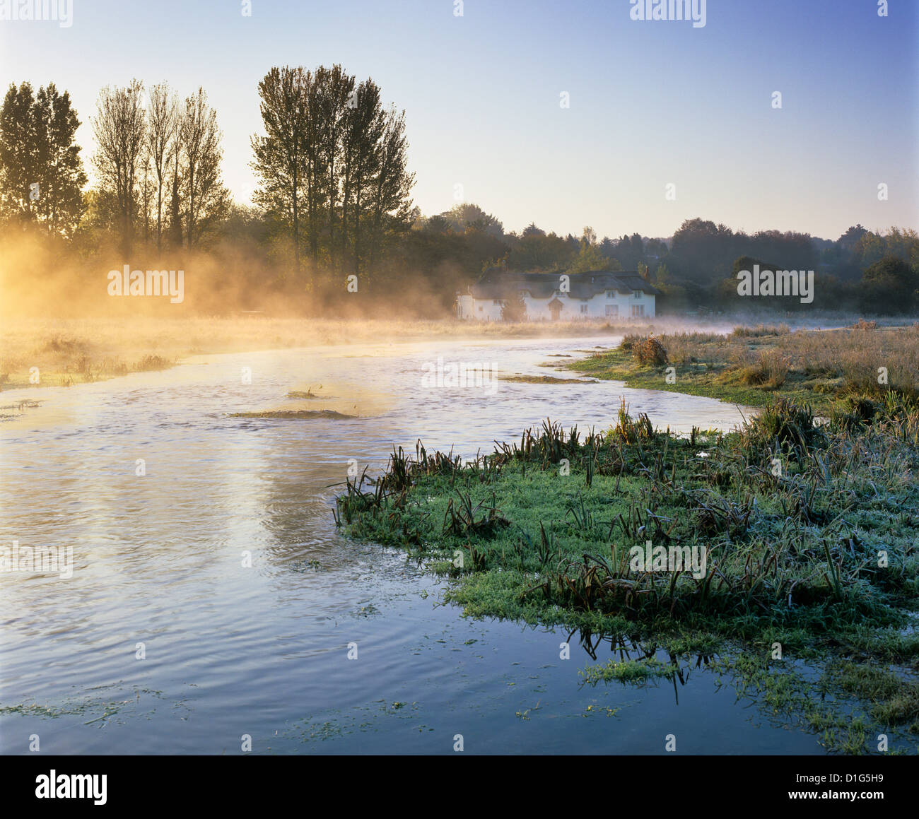 Misty River Test on Chilbolton Common, Wherwell, Hampshire, England ...