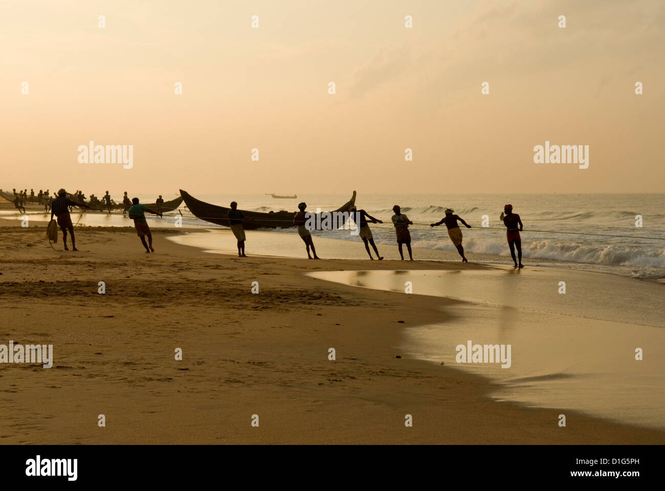 Fishermen hauling in nets at sunrise, Chowara Beach, near Kovalam ...