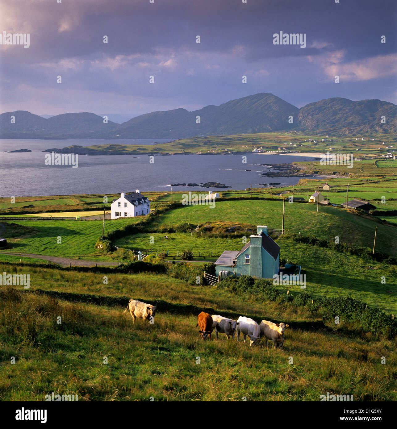 View over Allihies and Ballydonegan Bay, Beara Peninsula, County Cork ...