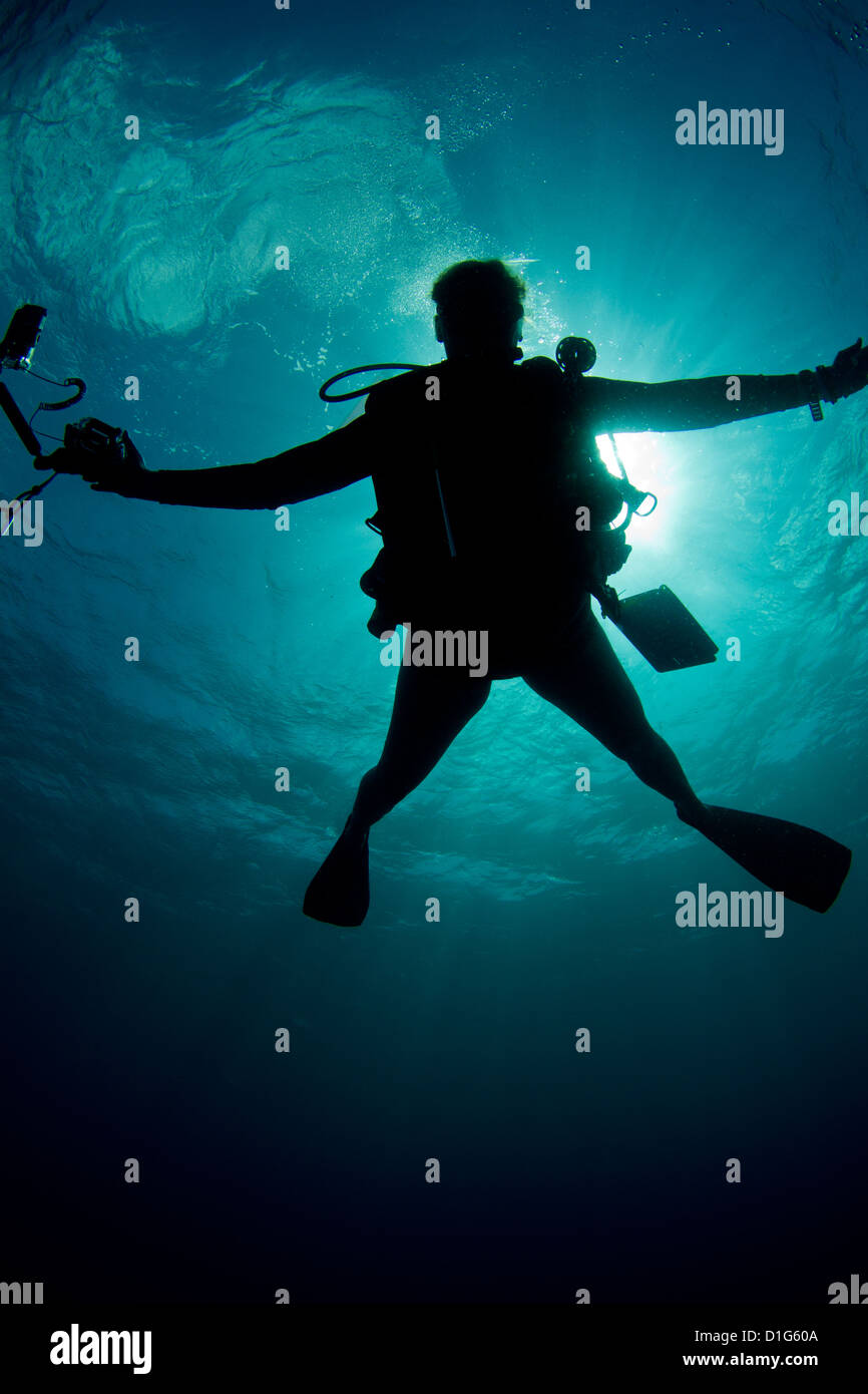 Underwater silhouette hi-res stock photography and images - Alamy
