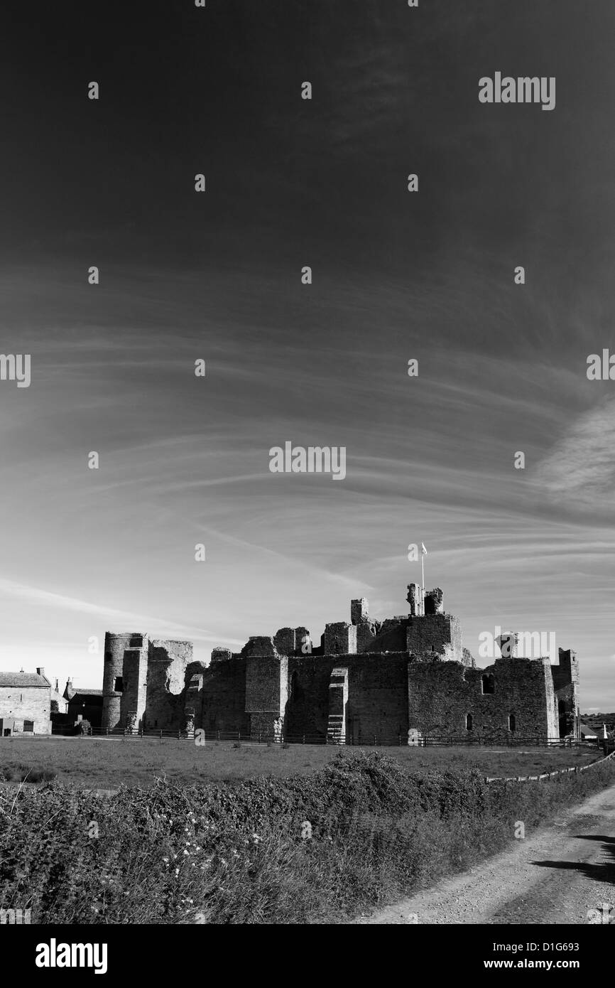 Ruins of Middleham castle, Middleham village, North Yorkshire County ...