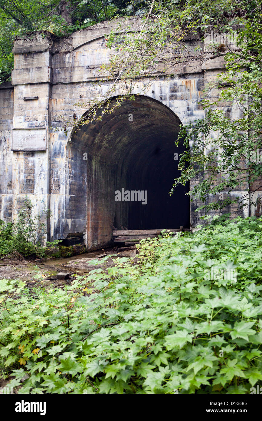 Original Cascade Tunnel into Wellington, Washington, site of the 1910 ...