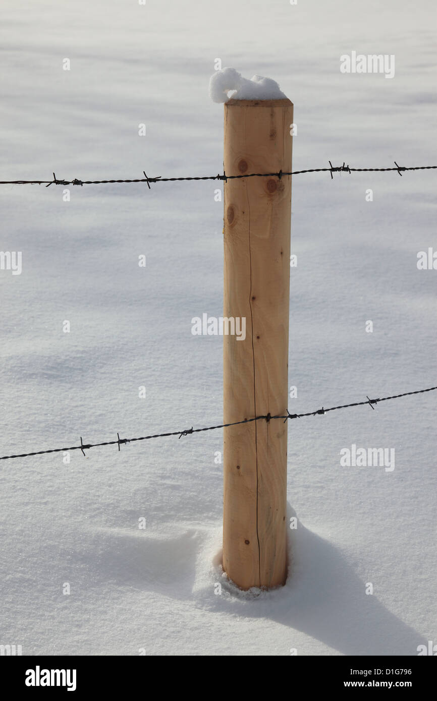 new wooden fence post and barbed wire at winterly landscape. Photo by ...