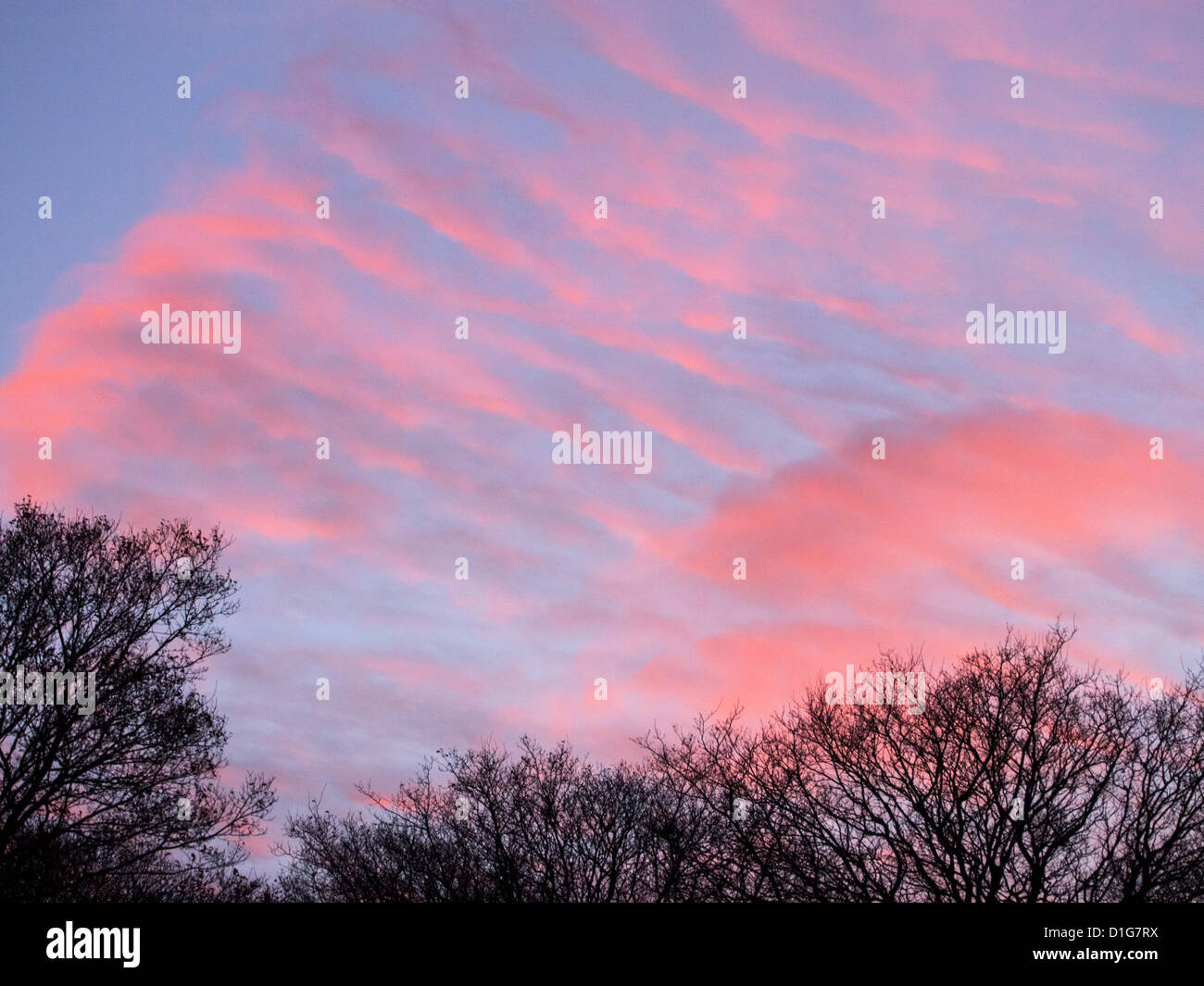 Sunset over Loughborough, Leicestershire, UK Stock Photo - Alamy