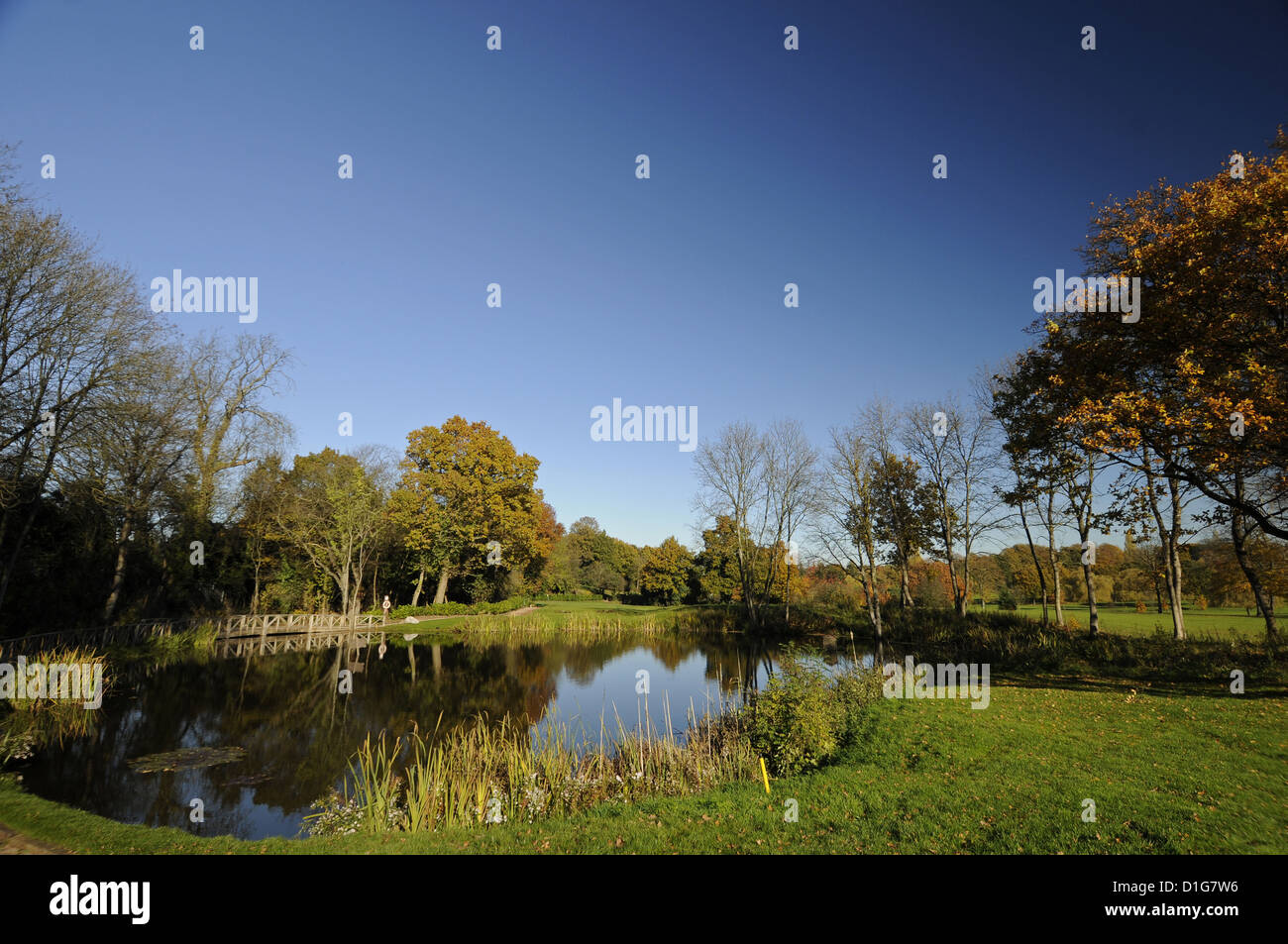 Autumn scene in the united kingdom in the countryside hi-res stock ...