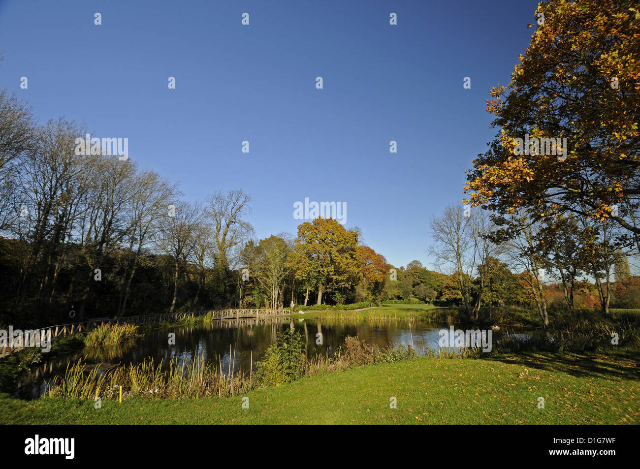 Autumn scene in the united kingdom in the countryside hi-res stock ...