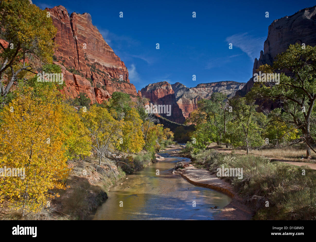 Zion fall colours hi-res stock photography and images - Alamy