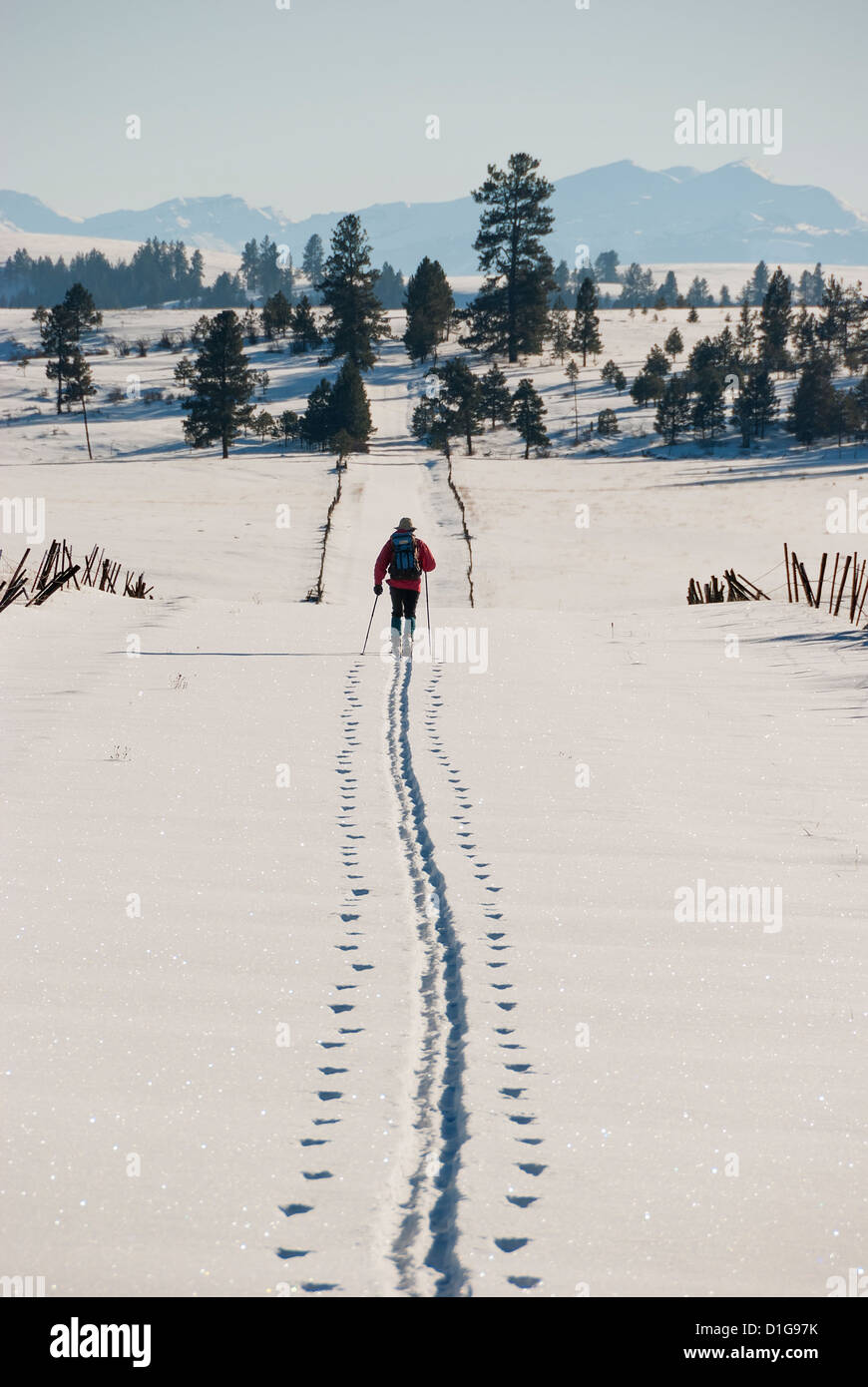 Cross country skiing on a snowy road with the Wallowa Mountains on the ...