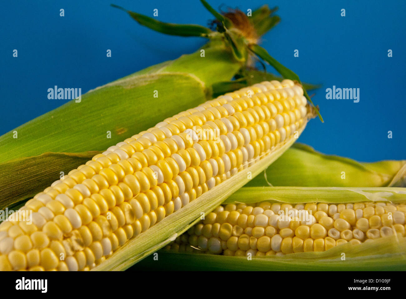 Nutritional agriculture hi-res stock photography and images - Alamy