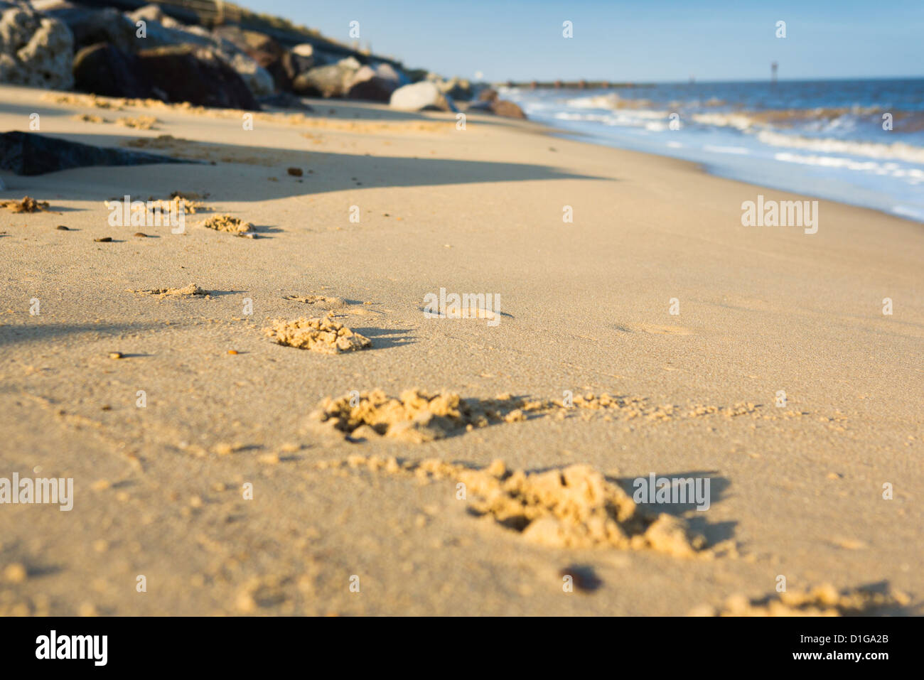 Low tide beach at Eccles-on-Sea, Norfolk, UK Stock Photo - Alamy