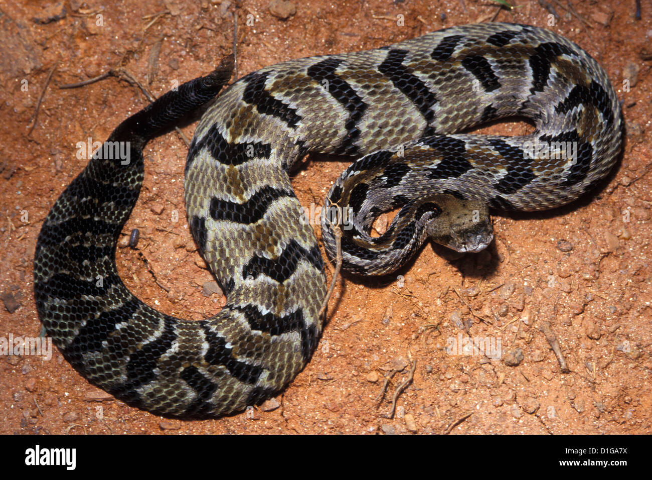 Greenville county hi-res stock photography and images - Alamy