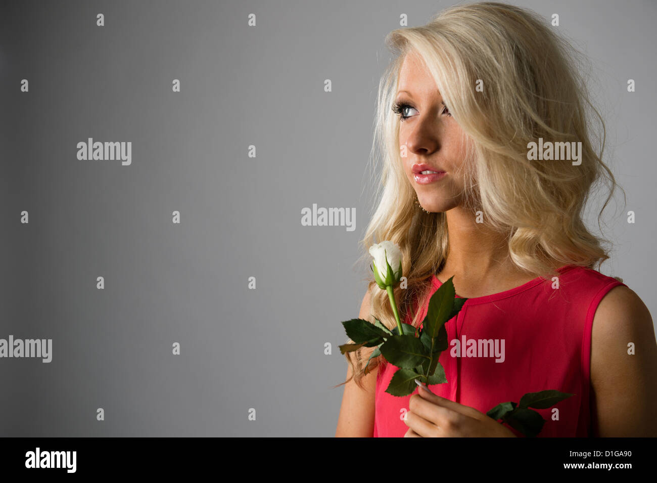 A 16 17 year old blonde slim teenage girl, holding single white rose UK ...
