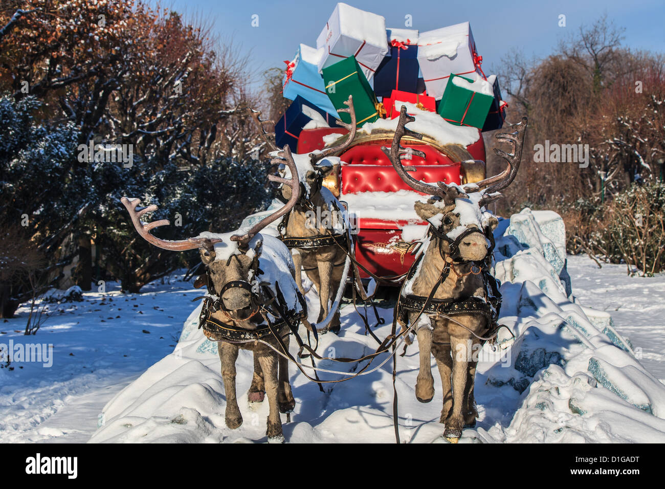 carriage with reindeer Stock Photo - Alamy