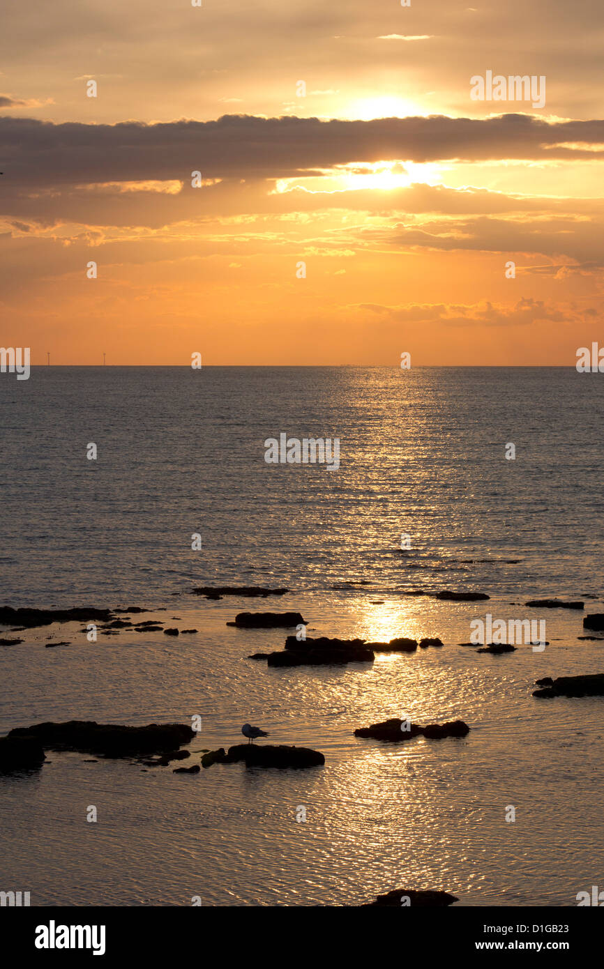 Westbrook hi-res stock photography and images - Alamy