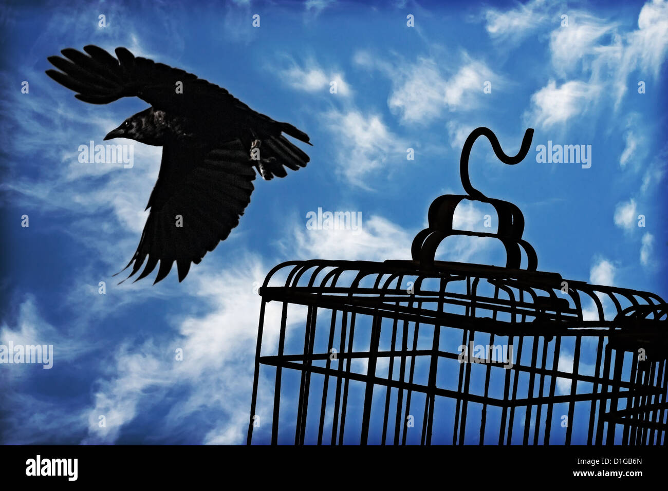 A crow flies free, the cloudy sky in the background, a silhouetted cage ...
