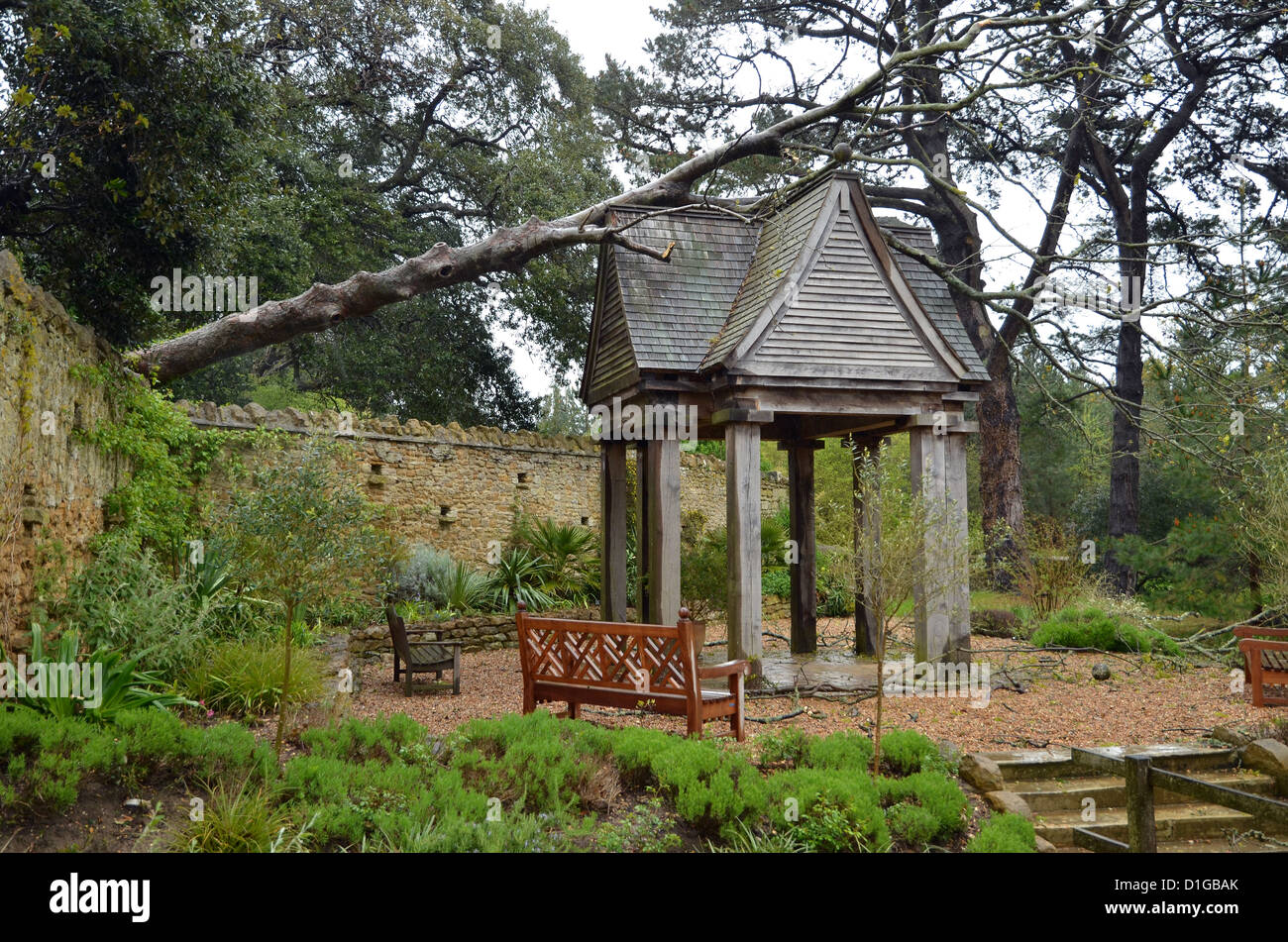 Wind Damage Garden High Resolution Stock Photography and Images - Alamy