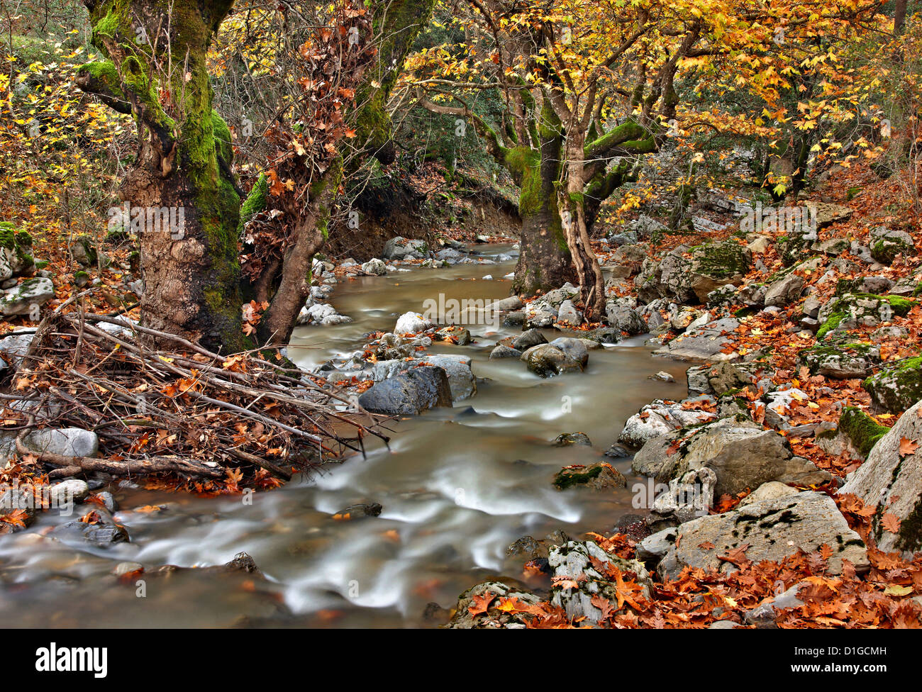 Landscape in Othrys mountain (according to Greek Mythology, the ...