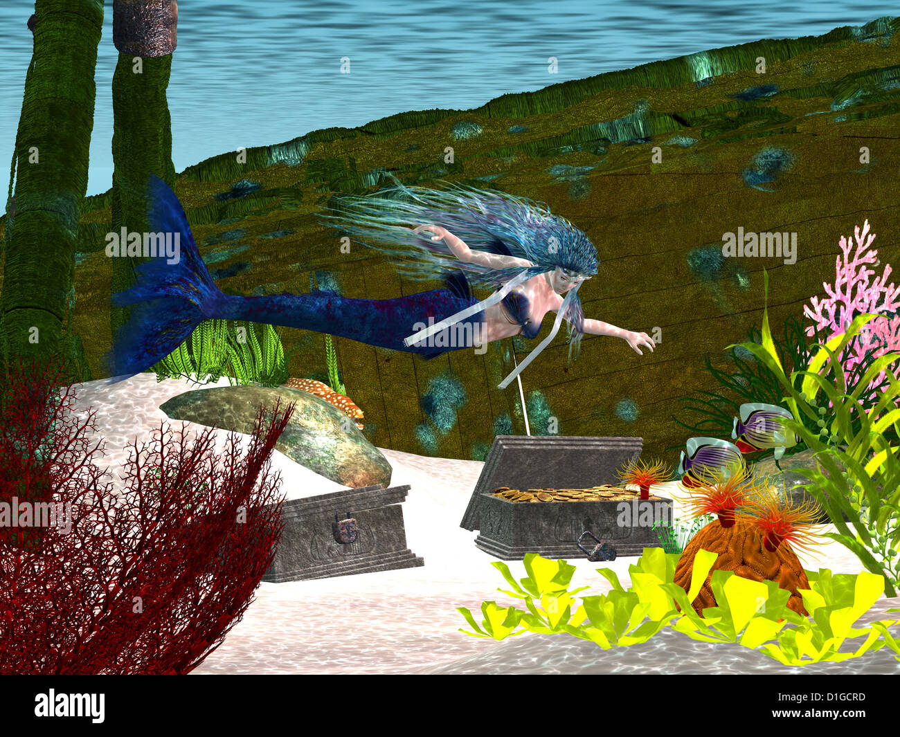 Old woman angelfish hi-res stock photography and images - Alamy