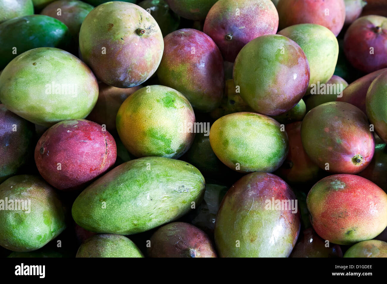 Santurce puerto rico hi-res stock photography and images - Alamy