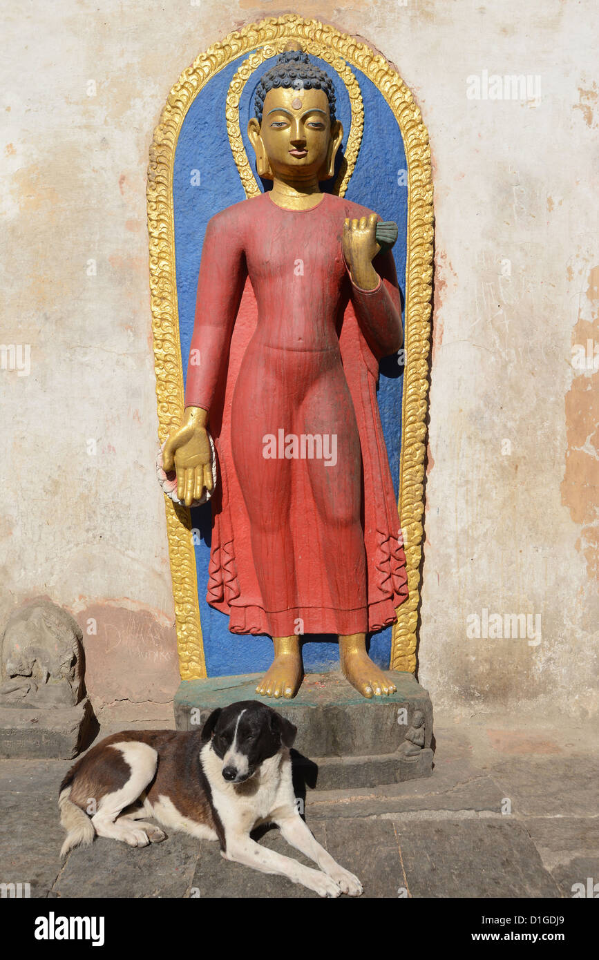 Tibetan temple dog hi-res stock photography and images - Alamy