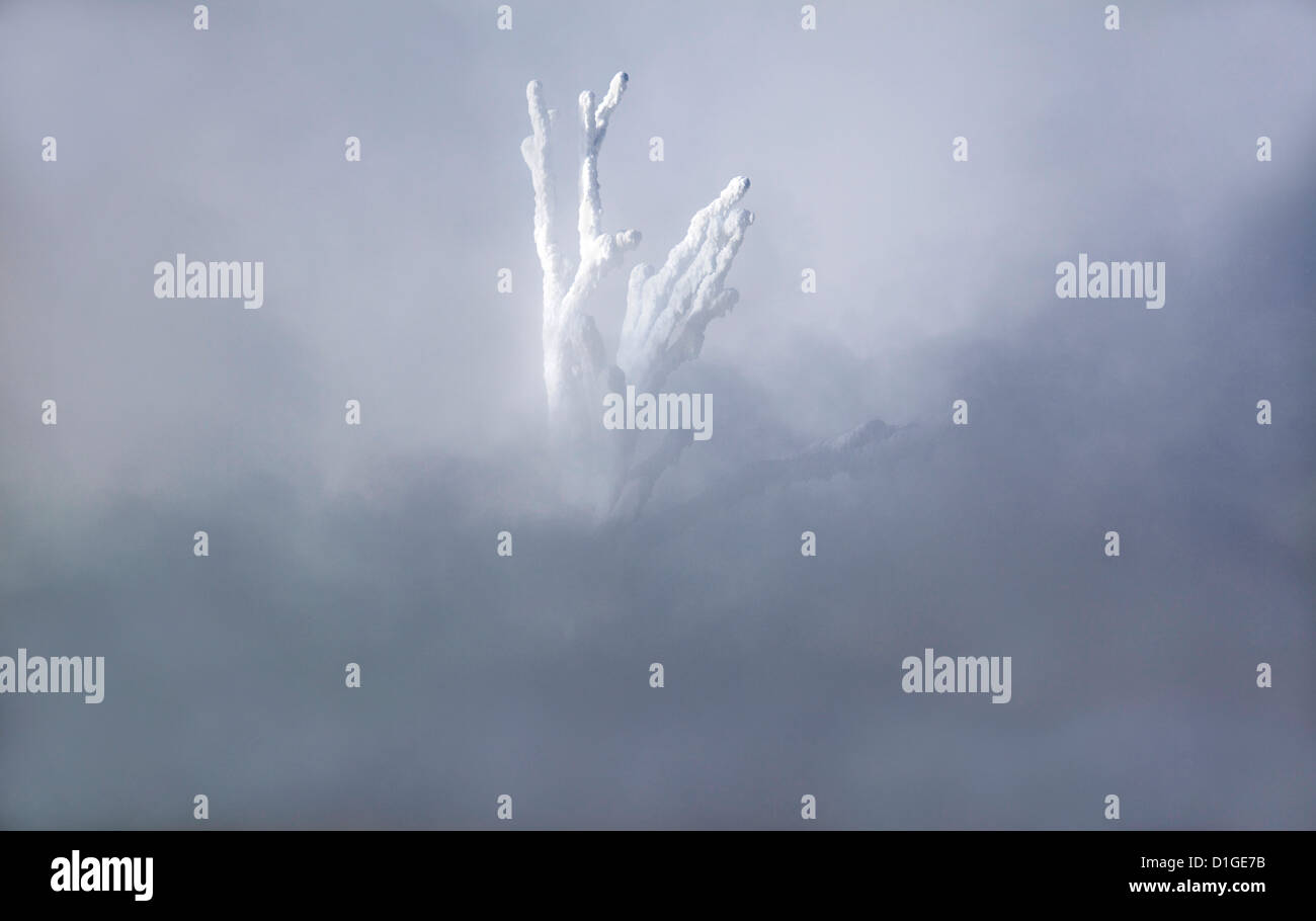 Raising steam hi-res stock photography and images - Alamy