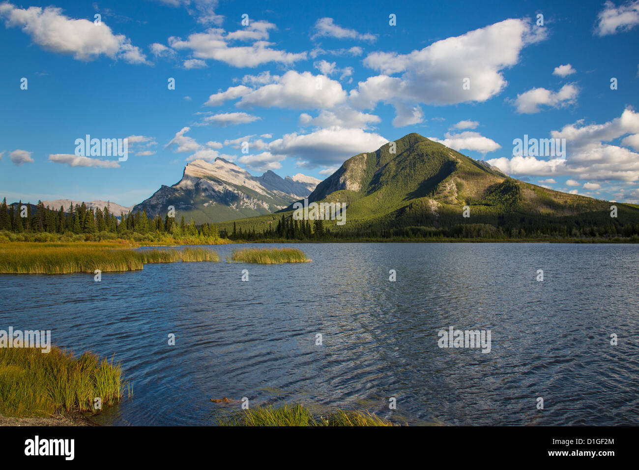 Mount Rundle and Sulphur Mountain with in Vermillion Lakes in Banff ...