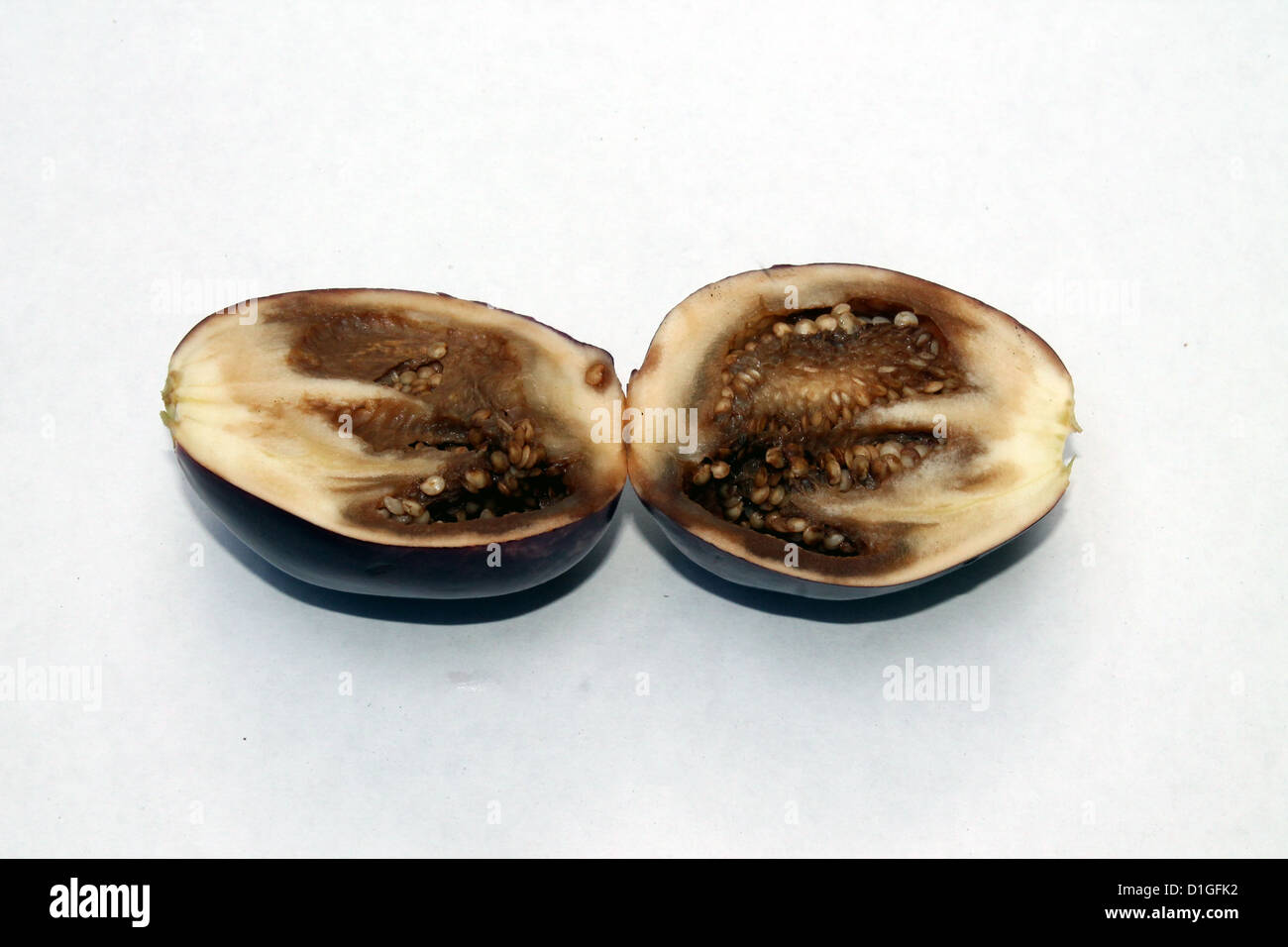 A decayed brinjal isolated in white background Stock Photo - Alamy